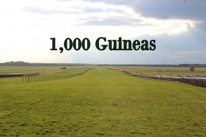 1,000 Guineas 2025: Results, Runners & Prize Money - World of Horses