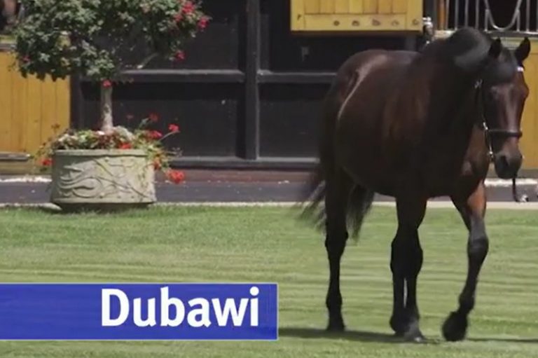 Dubawi’s Greatest Progeny – Including Lord North, Ghaiyyath ...