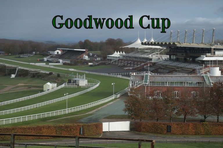Goodwood Cup 2025: Results, Runners & Prize Money - World of Horses