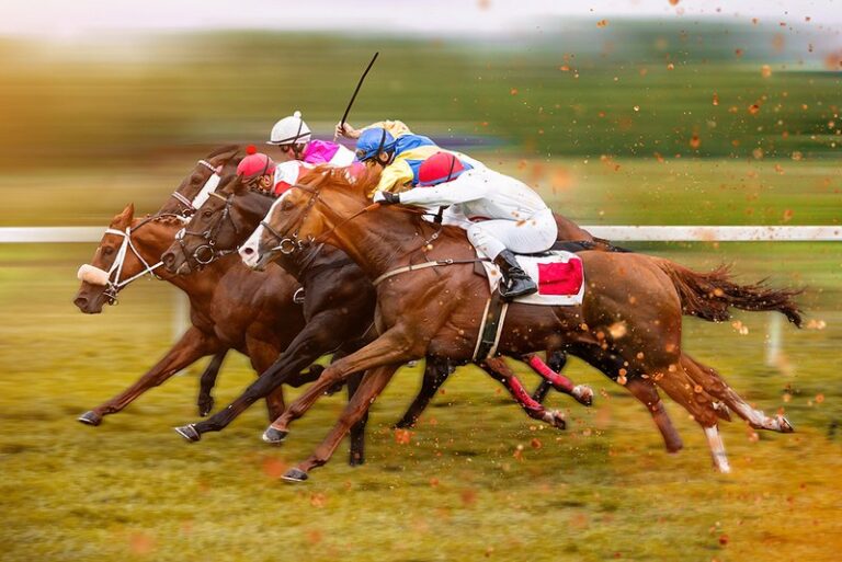 The Importance Of Track Conditions: How Weather Affects Horse Race ...