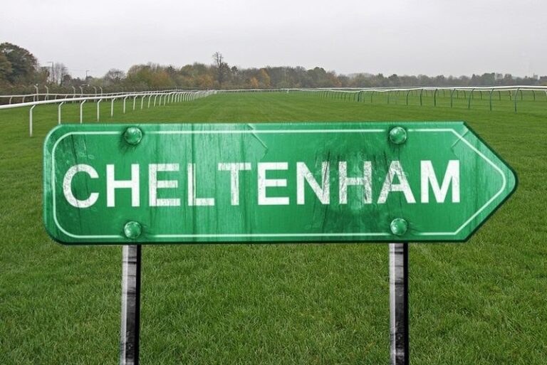 Horses to Watch on the Road to Cheltenham 2025 - World of Horses