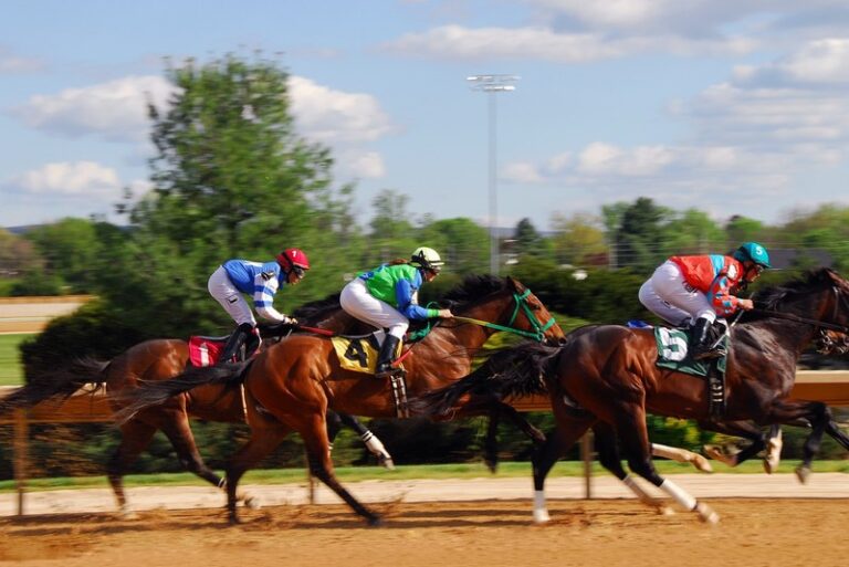 The History of Horse Racing: From Ancient Times to Today - World of Horses