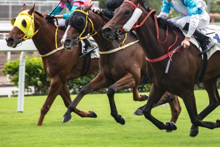Melbourne Cup Form Guide: How To Pick a Winner This Year - World of Horses