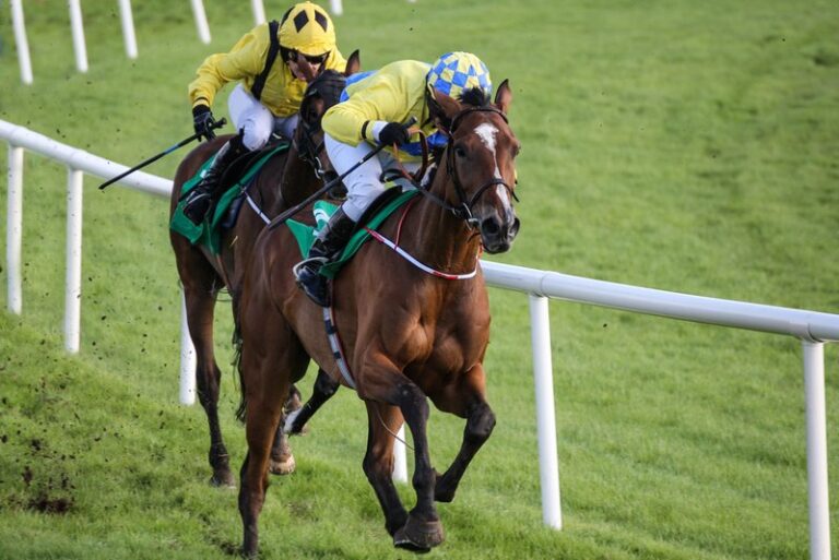 The Rich History And Excitement Of Irish Horse Racing - World of Horses