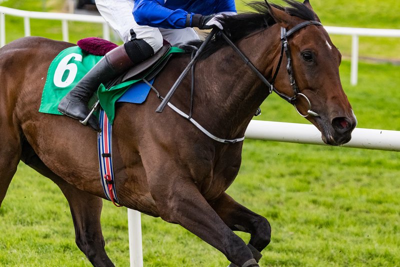 UK Horse Racing Class System Explained: What Each Level Really Means ...