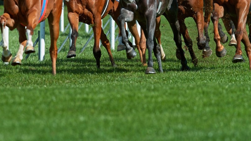 UK Horse Racing Class System Explained: What Each Level Really Means ...